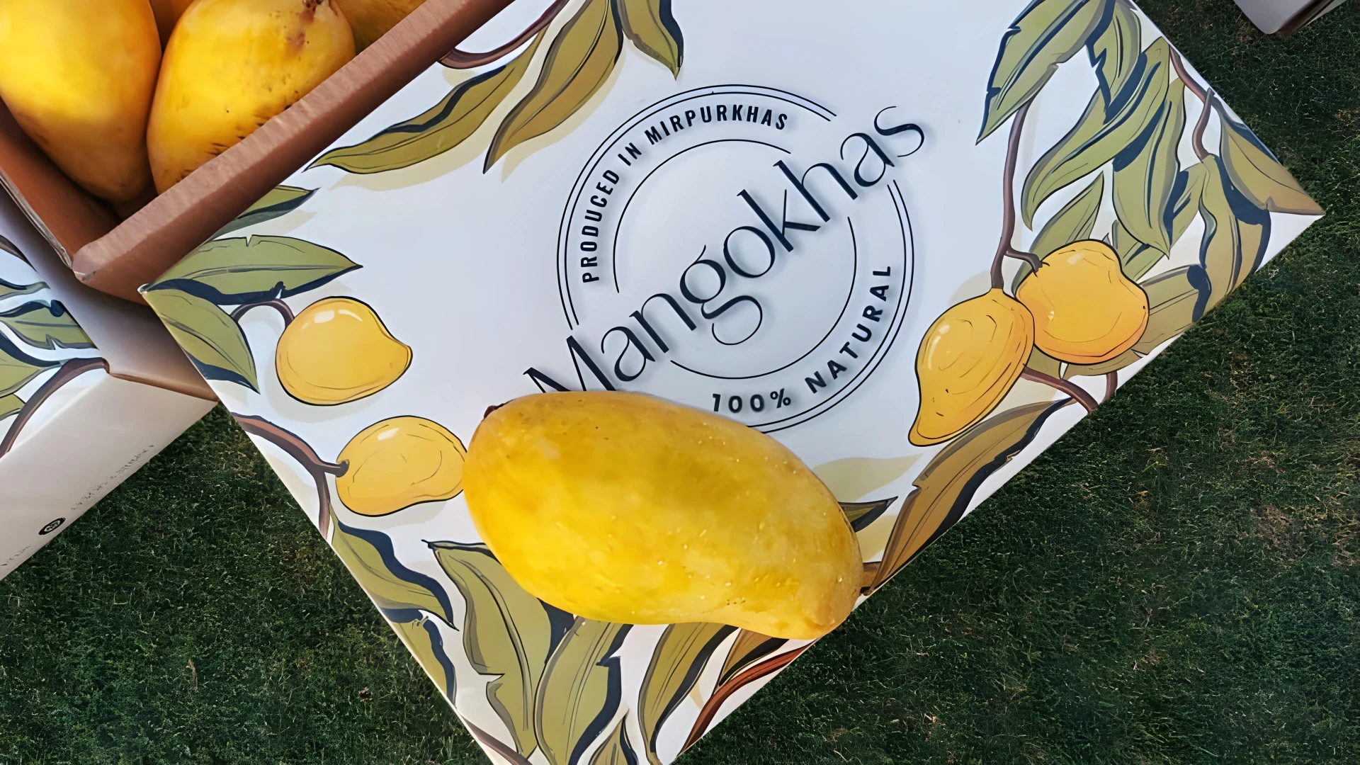 Shop | Mangokhas – Buy Premium Mangoes, Achaar & Chutney Online